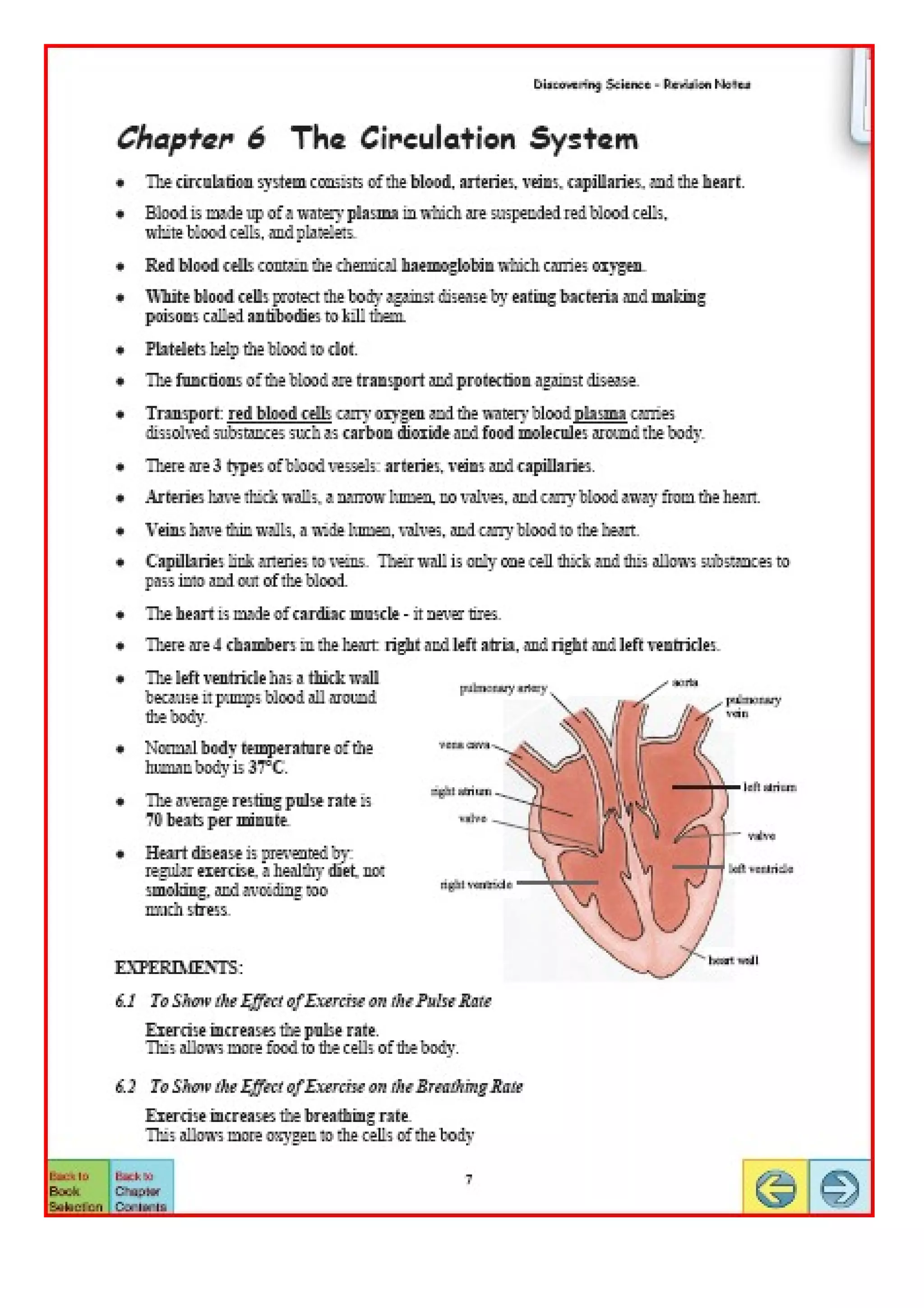 Discovering Science Revision For Jc Biology | DOC | Biological Sciences ...