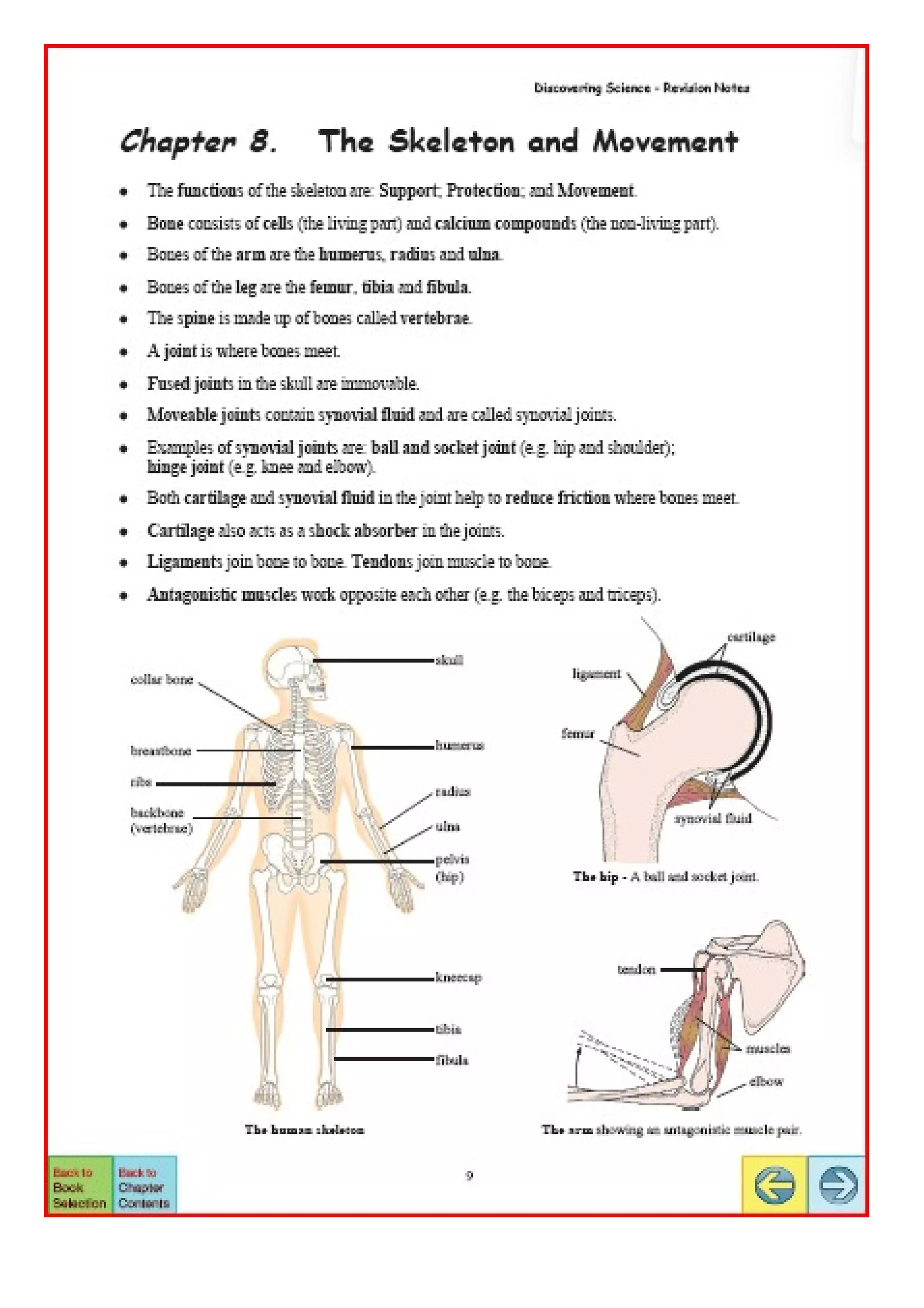 Discovering Science Revision For Jc Biology | DOC | Biological Sciences ...
