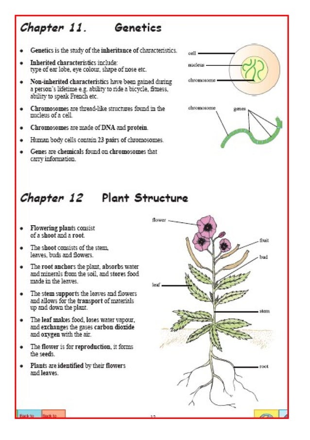 Discovering Science Revision For Jc Biology | DOC | Biological Sciences ...