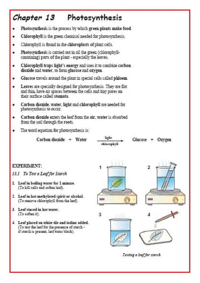 Discovering Science Revision For Jc Biology | DOC | Biological Sciences ...