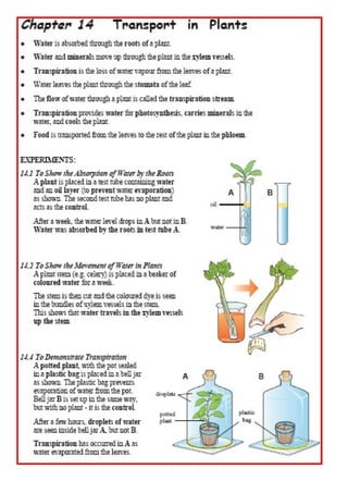 Discovering Science Revision For Jc Biology | DOC | Biological Sciences ...