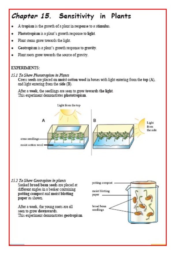 Discovering Science Revision For Jc Biology | DOC | Biological Sciences ...