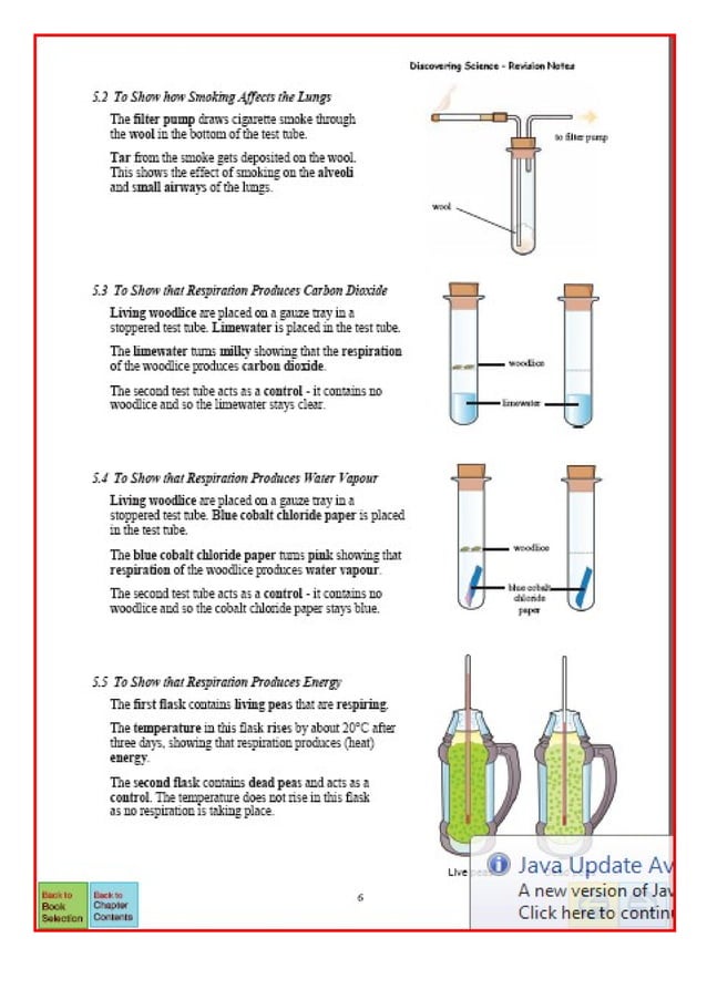 Discovering Science Revision For Jc Biology | DOC | Biological Sciences ...