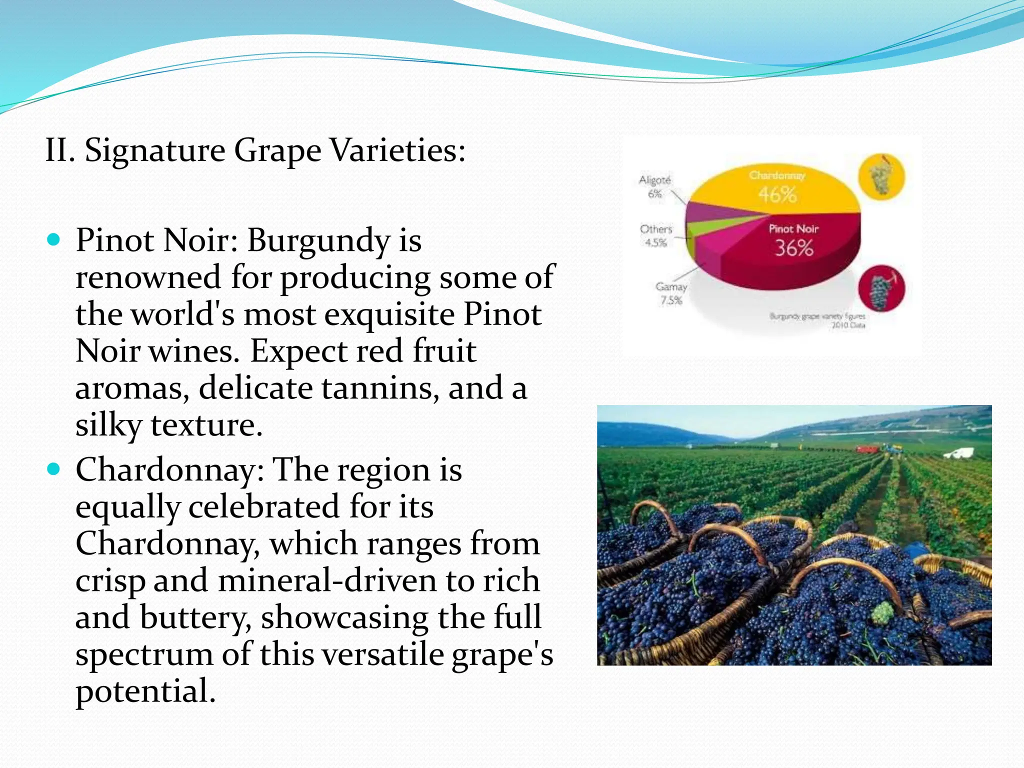 Discovering the Diversity of Burgundy Wine.pptx | Alcoholic Beverages | Food & Drink