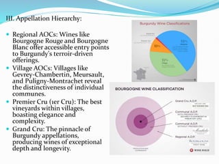 Discovering the Diversity of Burgundy Wine.pptx