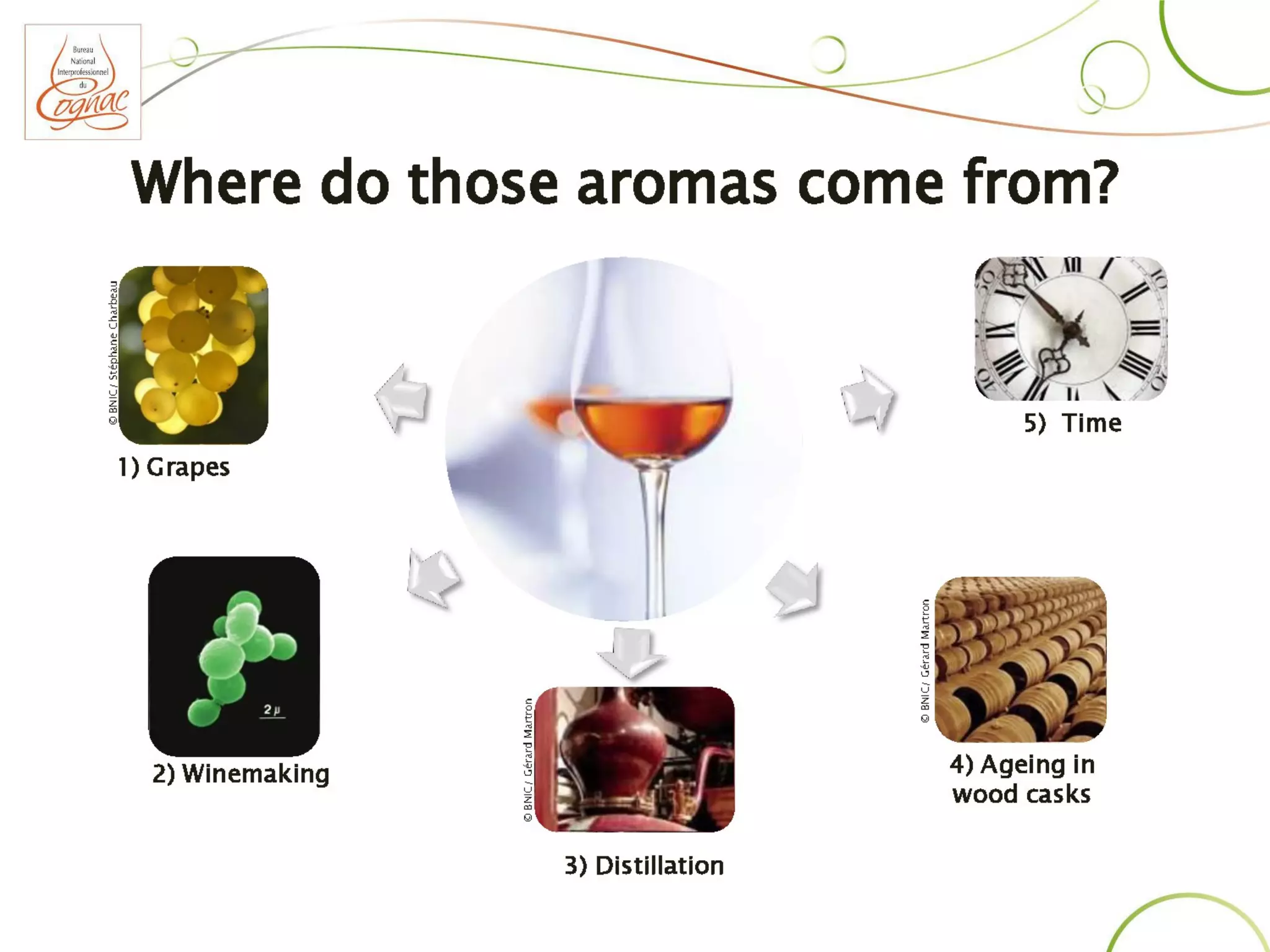 Discovering the Flavors of Cognac-Presentation | PDF
