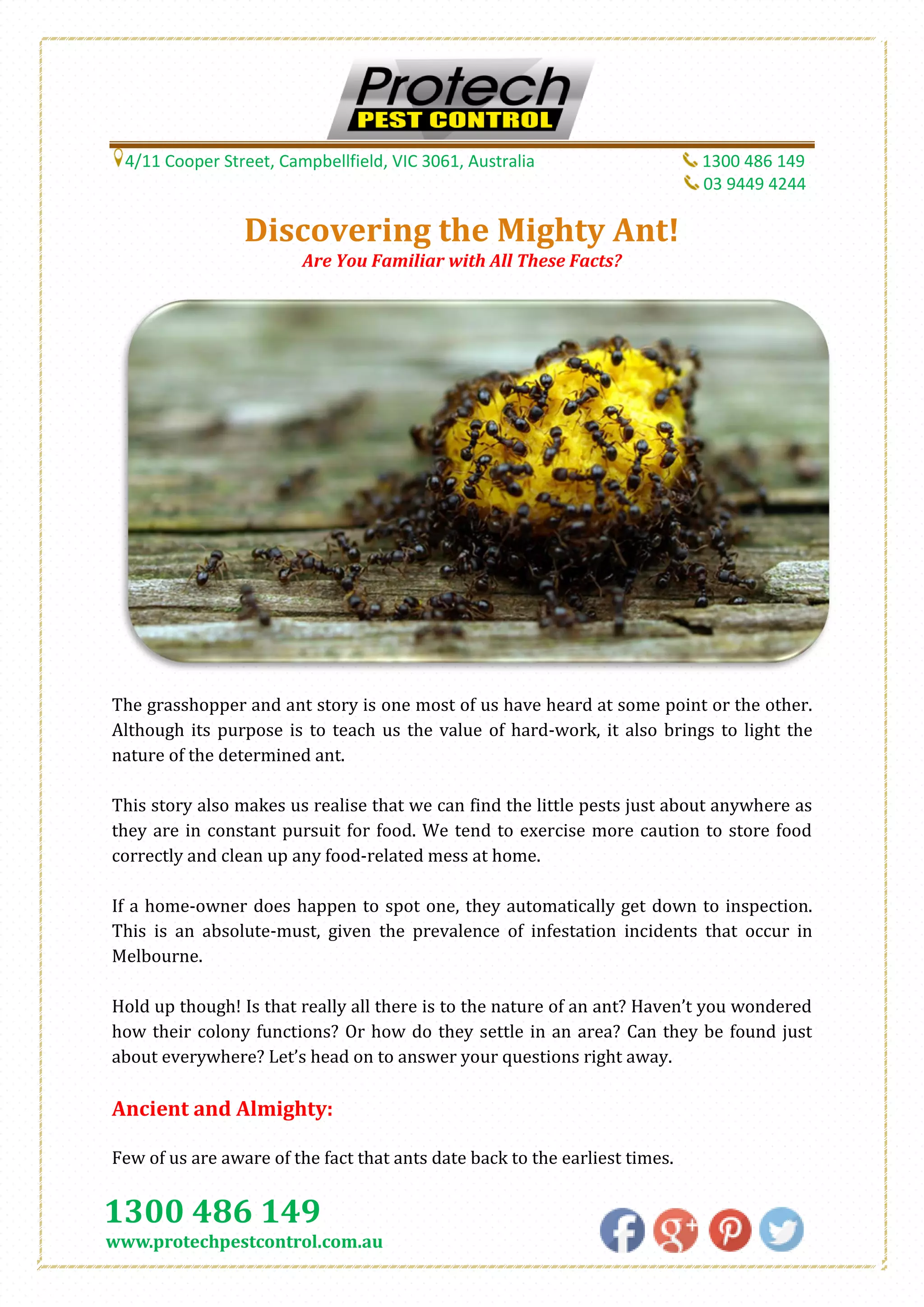 Discovering the Mighty Ant! | PDF