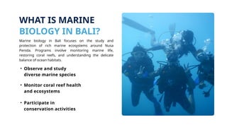 Discover Marine Biology in Bali – Hands-On Ocean Conservation.pptx