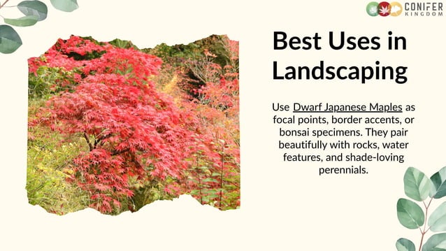 Unmatched Color Palette for Every Season | PPT