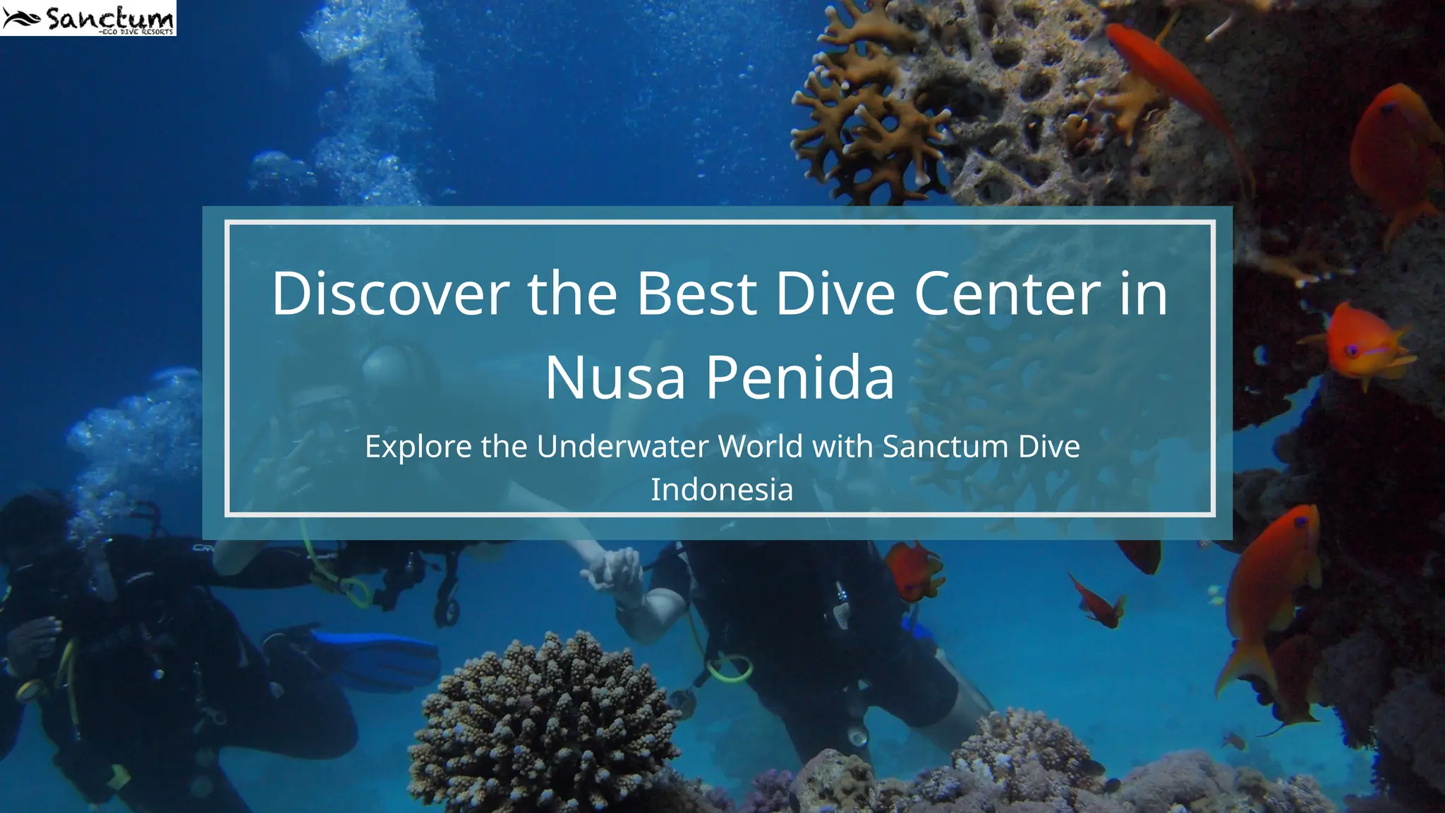 Discover the Best Dive center in Nusa Penida.pptx