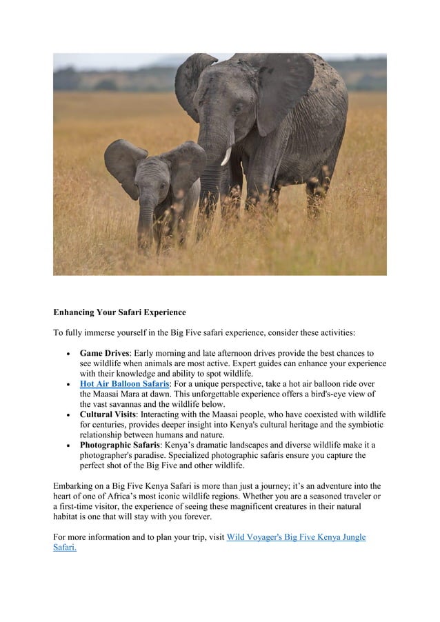 Discover the Big Five on a Kenya Safari.pdf