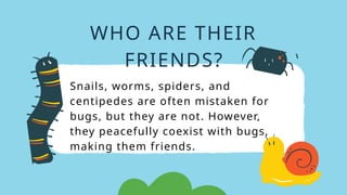 Discover The World Of Bugs And Friends Education Presentation In ...