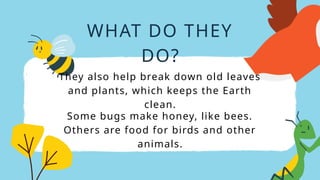 Discover The World Of Bugs And Friends Education Presentation In ...