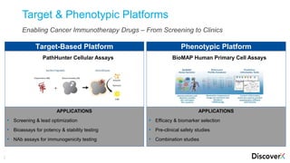 Cell-based Assays for Immunotherapy Drug Development | PDF