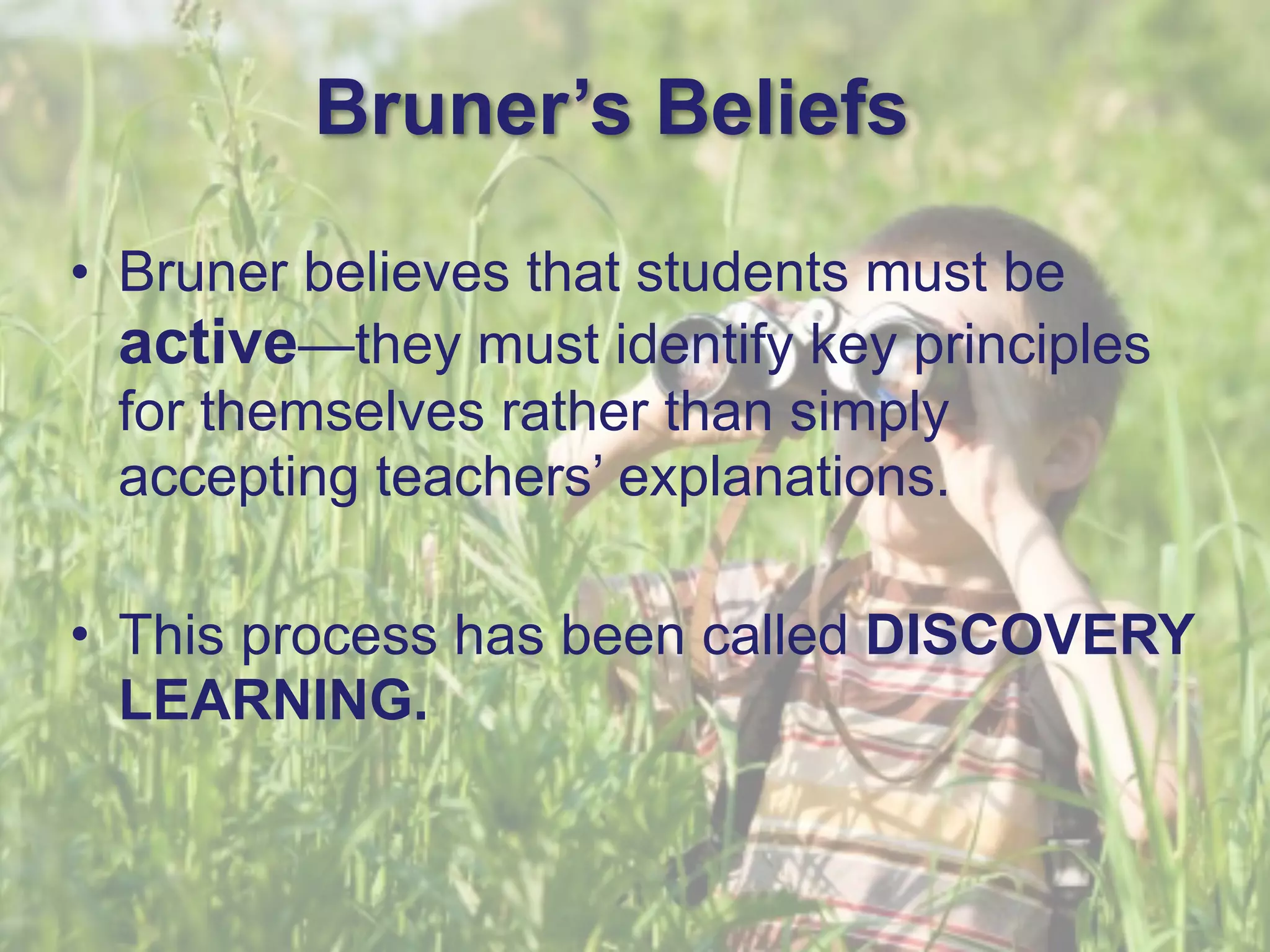 Jerome Bruner: Discovery Learning | PDF