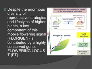 Discovery of-flowering-response | PPTX