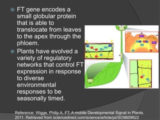 Discovery of-flowering-response | PPTX