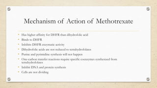 Discovery and Development of Methotrexate on Psoriasis | PPTX | Skin ...