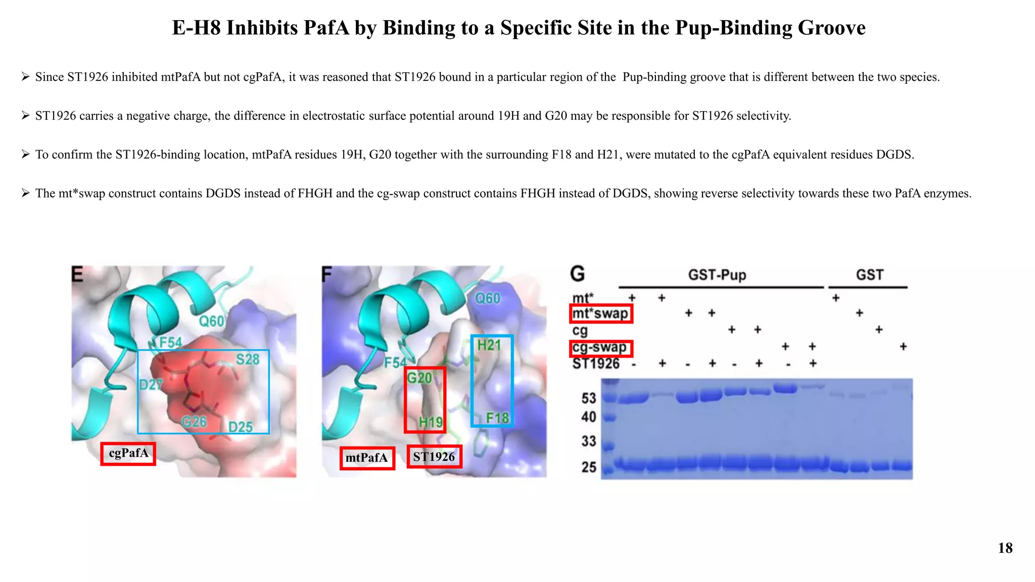 Discovery and Mechanistic Study of Mycobacterium tuberculosis PafA ...