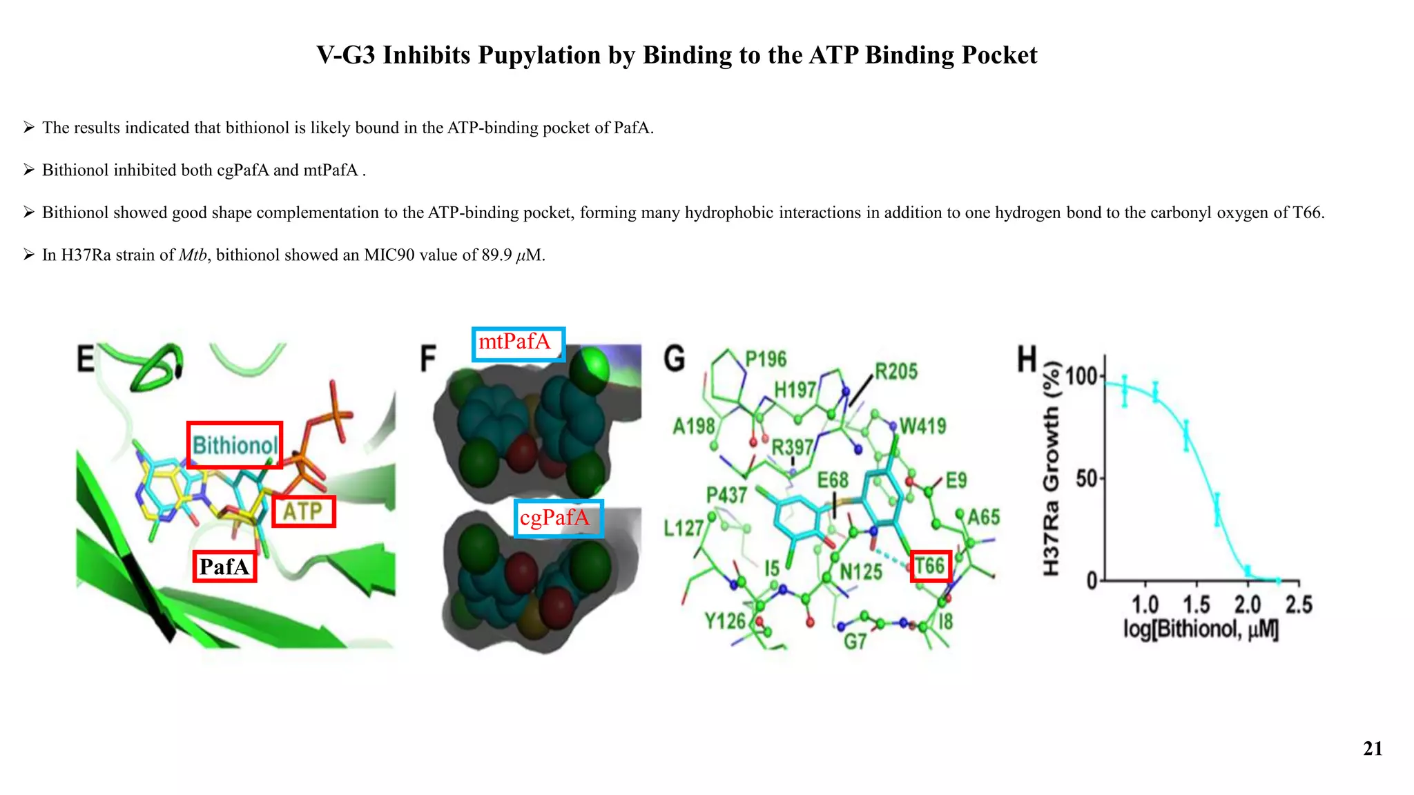 Discovery and Mechanistic Study of Mycobacterium tuberculosis PafA ...