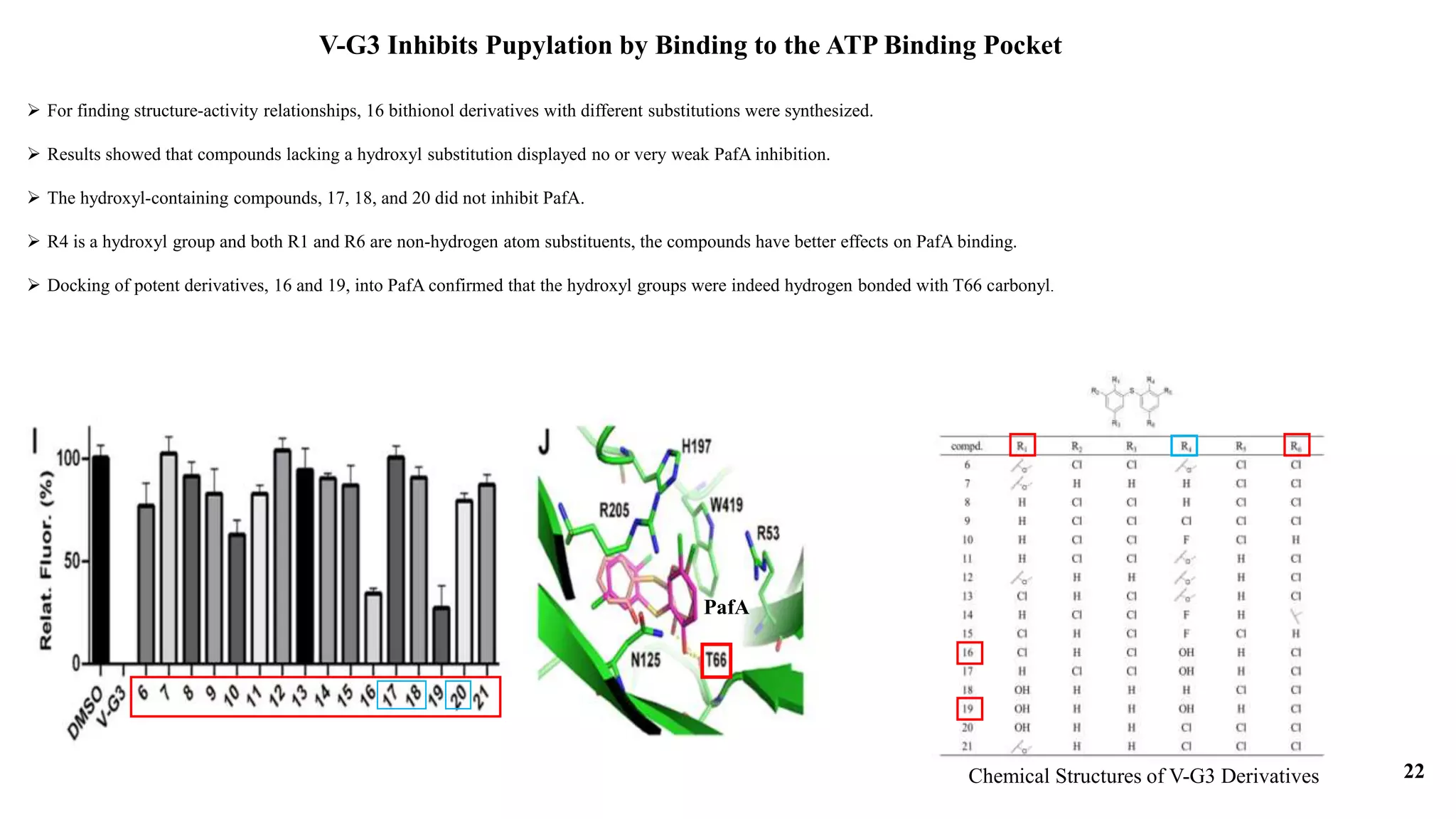 Discovery and Mechanistic Study of Mycobacterium tuberculosis PafA Inhibitors.pptx
