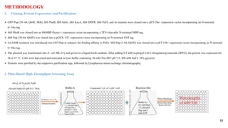 Discovery and Mechanistic Study of Mycobacterium tuberculosis PafA ...
