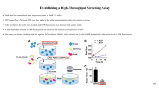 Discovery and Mechanistic Study of Mycobacterium tuberculosis PafA ...