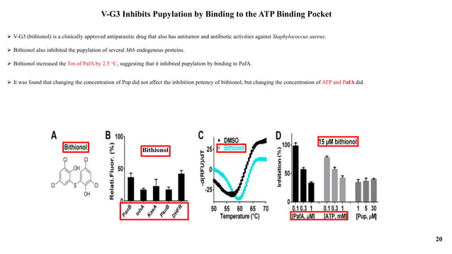 Discovery and Mechanistic Study of Mycobacterium tuberculosis PafA ...