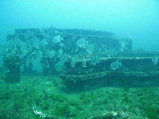 Dive the Graveyard of the Atlantic w/Discovery Diving | PPT