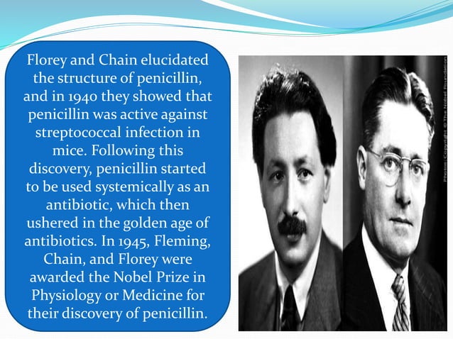 Discovery of antibiotics | PPTX | Infectious Diseases | Diseases and ...