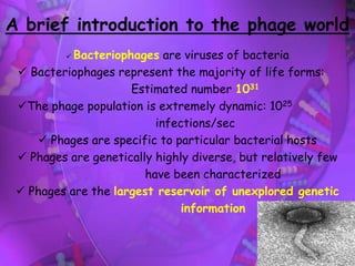 Discovery of bacteriophage | PPT