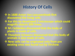 Discovery of cells | PPTX