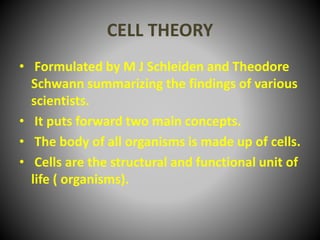 Discovery of cells | PPTX