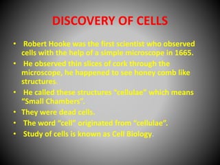 Discovery of cells | PPTX