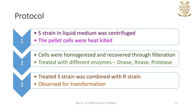 Discovery of DNA as genetic material | PPTX | Biological Sciences | Science
