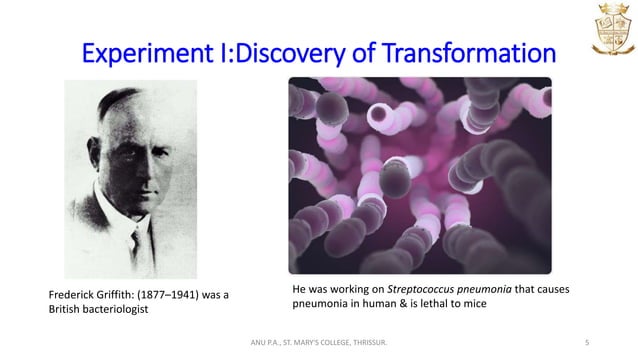 Discovery of DNA as genetic material | PPTX | Biological Sciences | Science