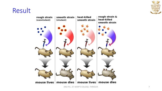 Discovery of DNA as genetic material | PPTX | Biological Sciences | Science