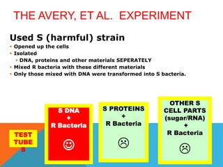 Discovery of dna as the universal genetic material | PPTX | Biological ...