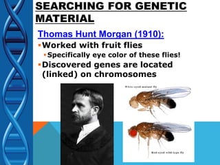 Discovery of dna as the universal genetic material | PPTX | Biological ...