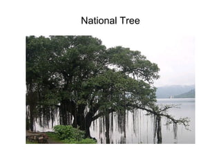 Discovery Of India - Land And People | PPT