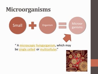 Discovery of microorganisms | PPTX