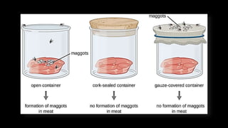 The Discovery of Microorganisms | PPTX