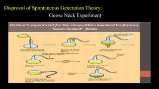 The Discovery of Microorganisms | PPTX