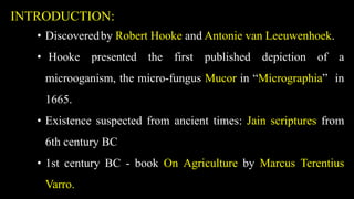 The Discovery of Microorganisms | PPTX