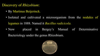 The Discovery of Microorganisms | PPTX