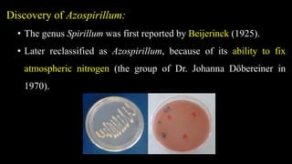 The Discovery of Microorganisms | PPTX