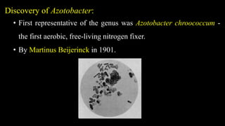 The Discovery of Microorganisms | PPTX