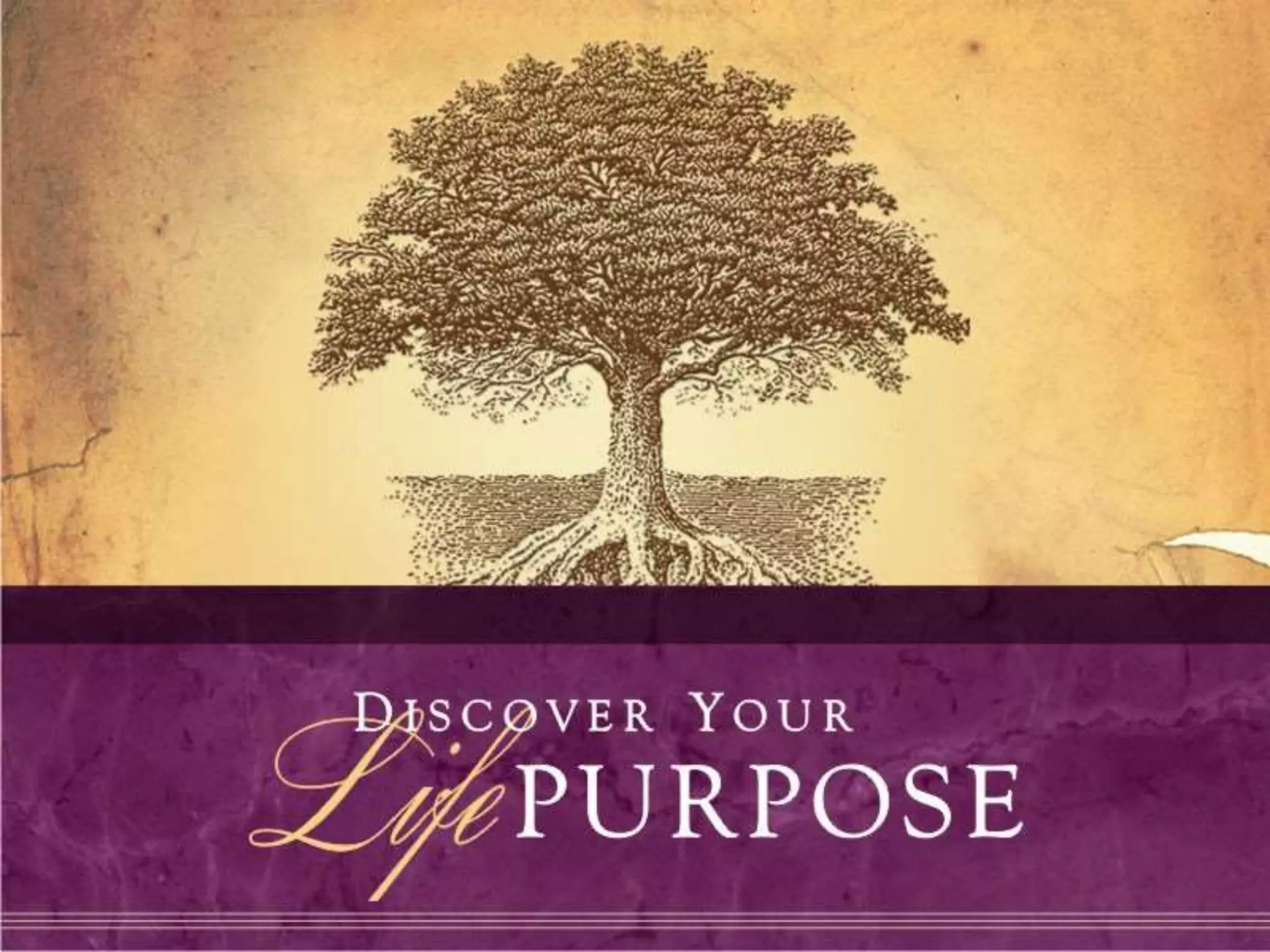 Discover Your Life Purpose | PPTX