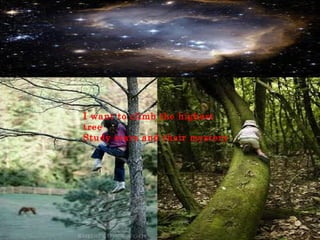 Discovery(poem) | PPT