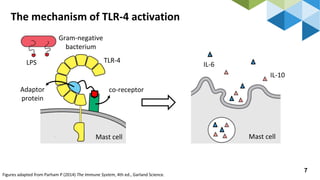 Drug Discovery Project Presentation | PPT